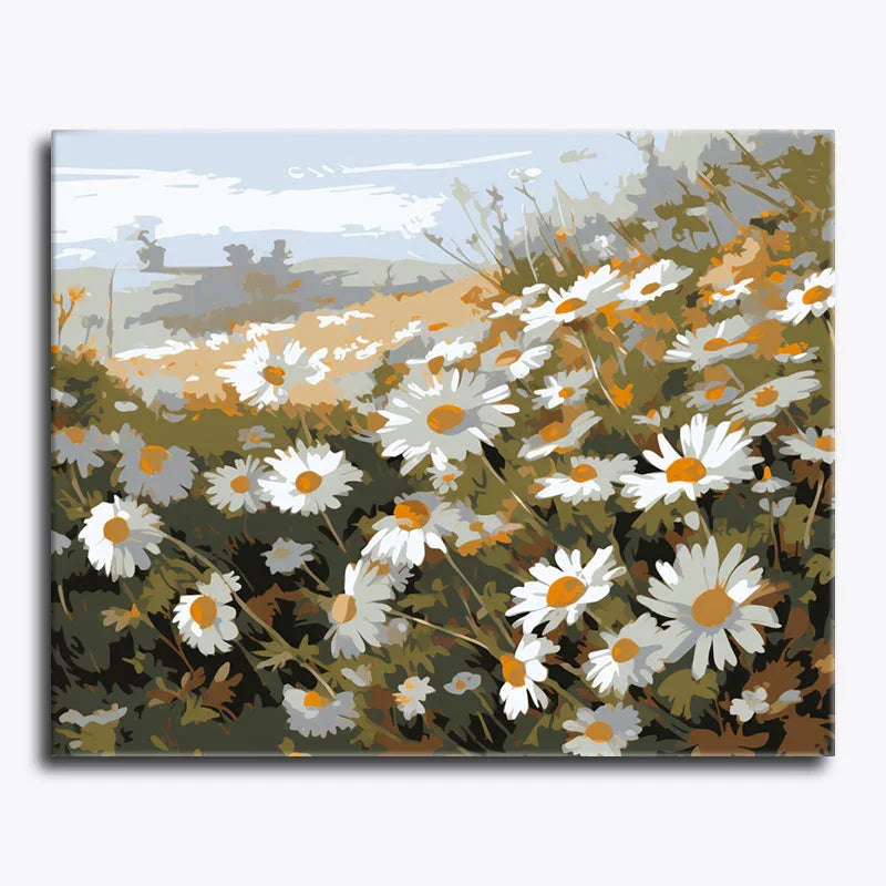 Wild Australian Daisies – Paint by Numbers